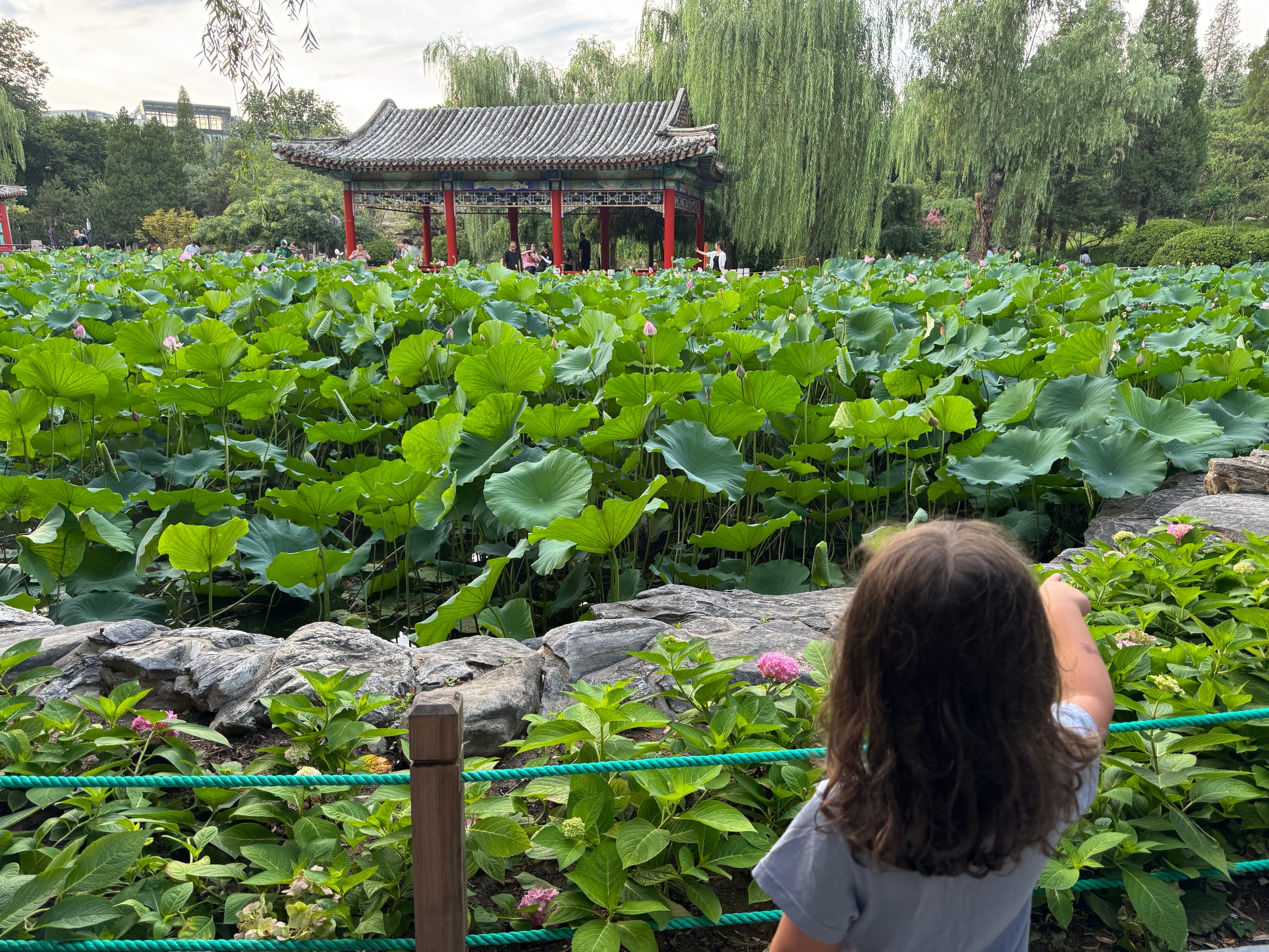 What to Do in Beijing — Must-See Sights & Local Favorites